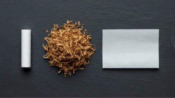 Anatomy Of Cigarettes: Secrets You Need to Know